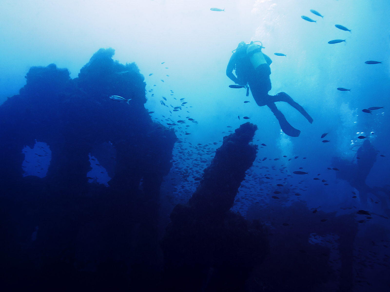 PADI Search and Recovery Diver Course | Your Adventure Starts Here